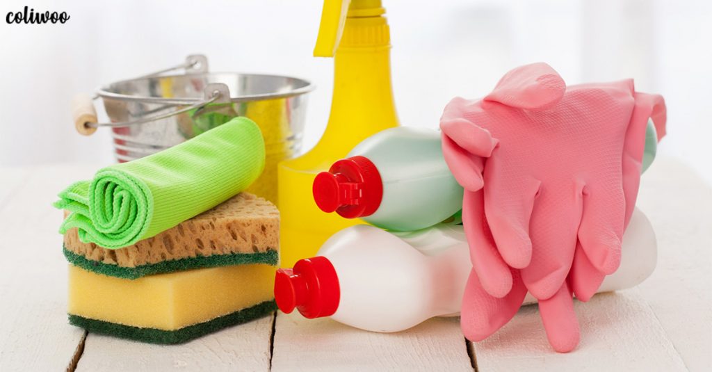 Moving Out — What to Bring with You | Coliwoo